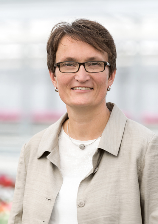 Gartencenter – Rutishauser.ch